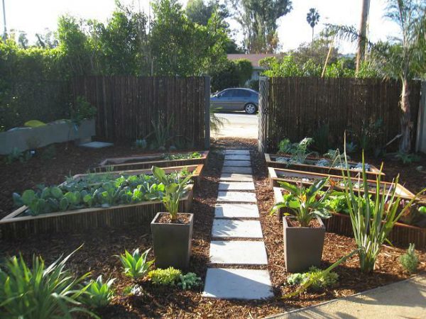 Gardenerd: Organic Edible Gardening | Malibu Vegetable Garden Delight