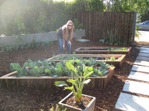 Gardenerd: Organic Edible Gardening | Malibu Vegetable Garden Delight