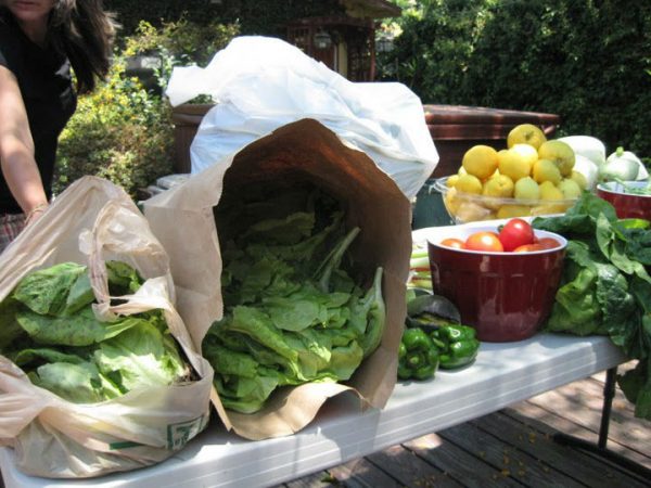 Gardenerd: Organic Edible Gardening | Westside Produce Exchange Review