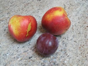 In Honor of Stone Fruit Season - Recipes - Gardenerd