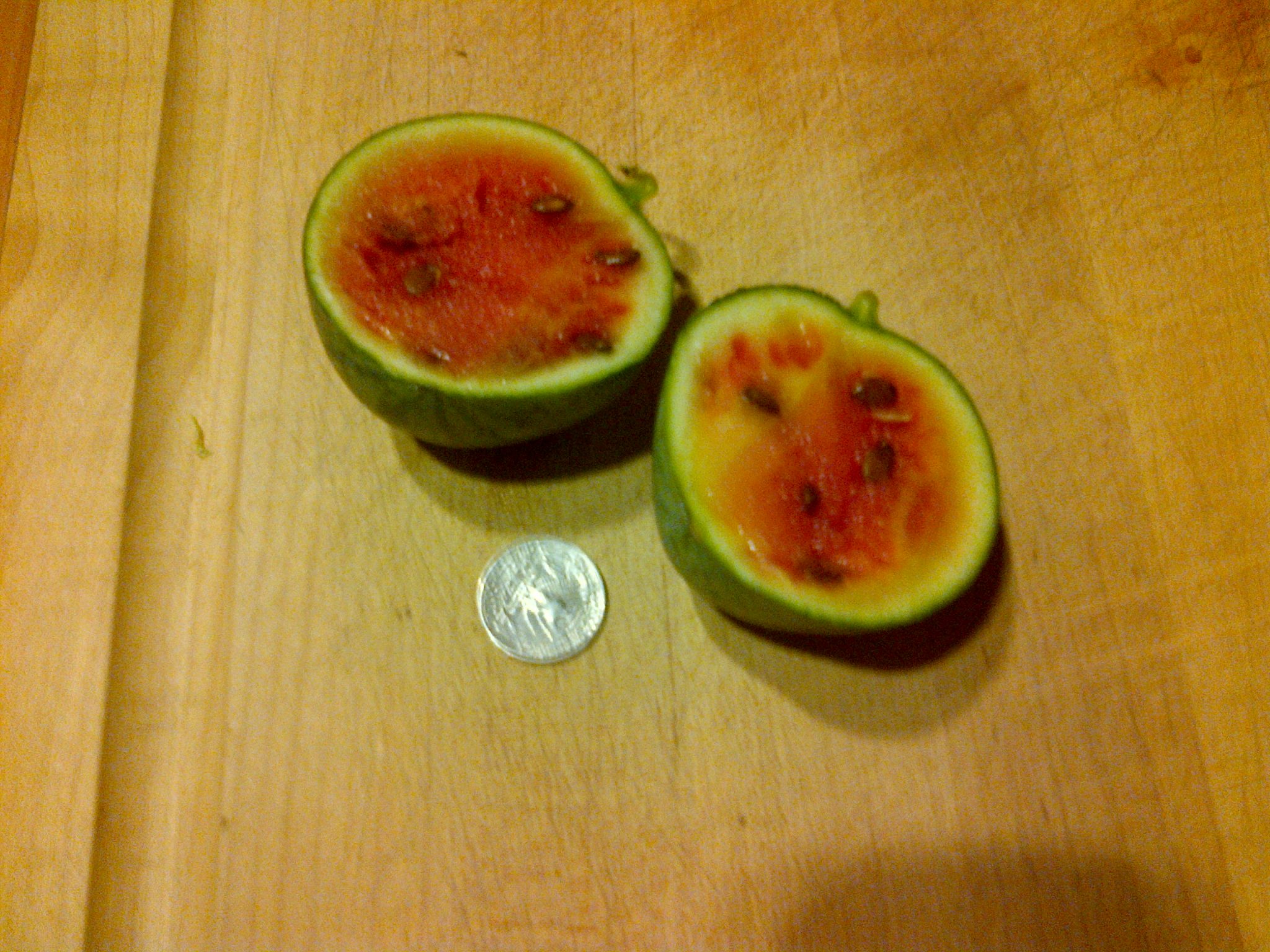 The World's Smallest Watermelon - Gardenerd