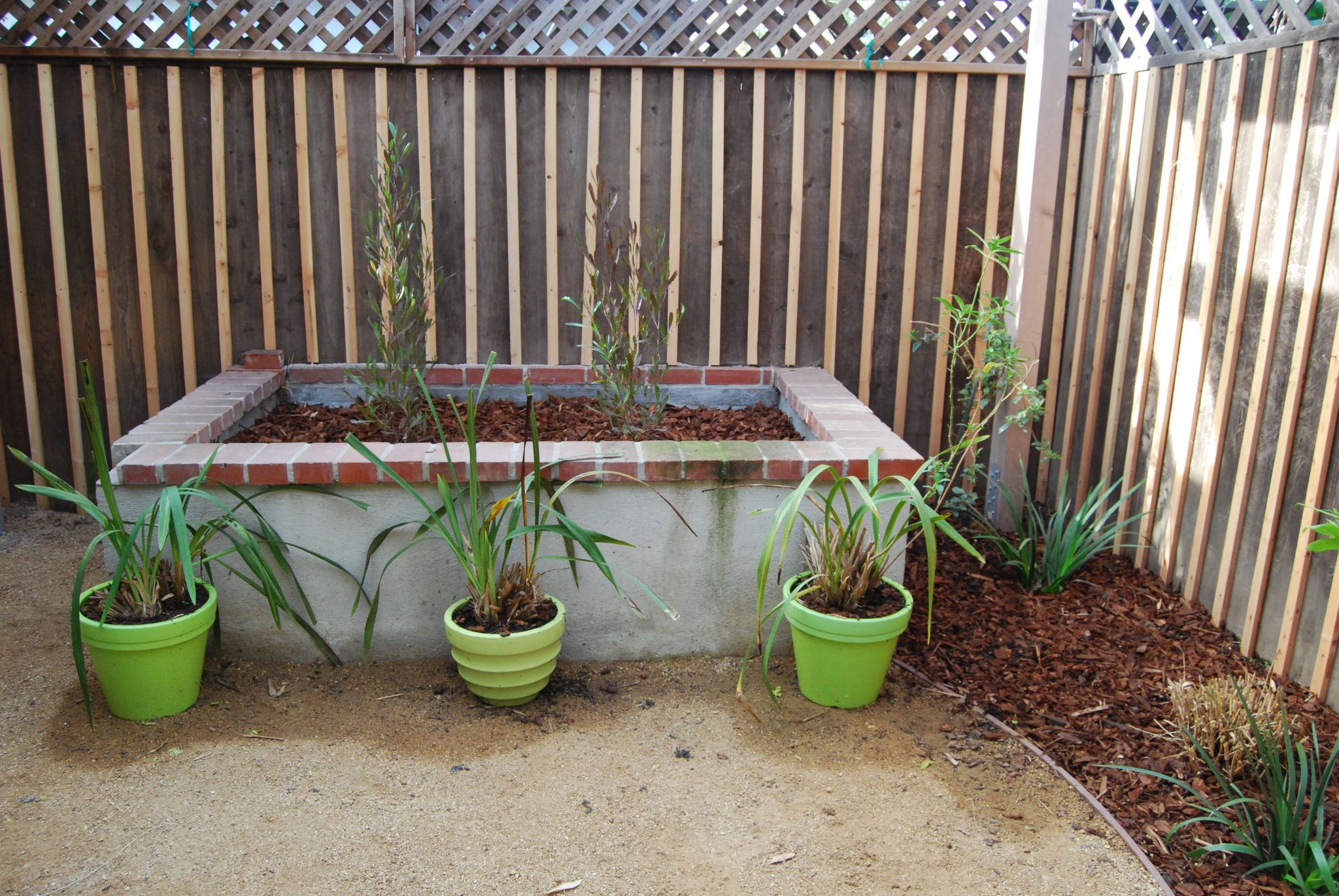 New Landscaping: Dog-friendly Oasis in the City - Gardenerd