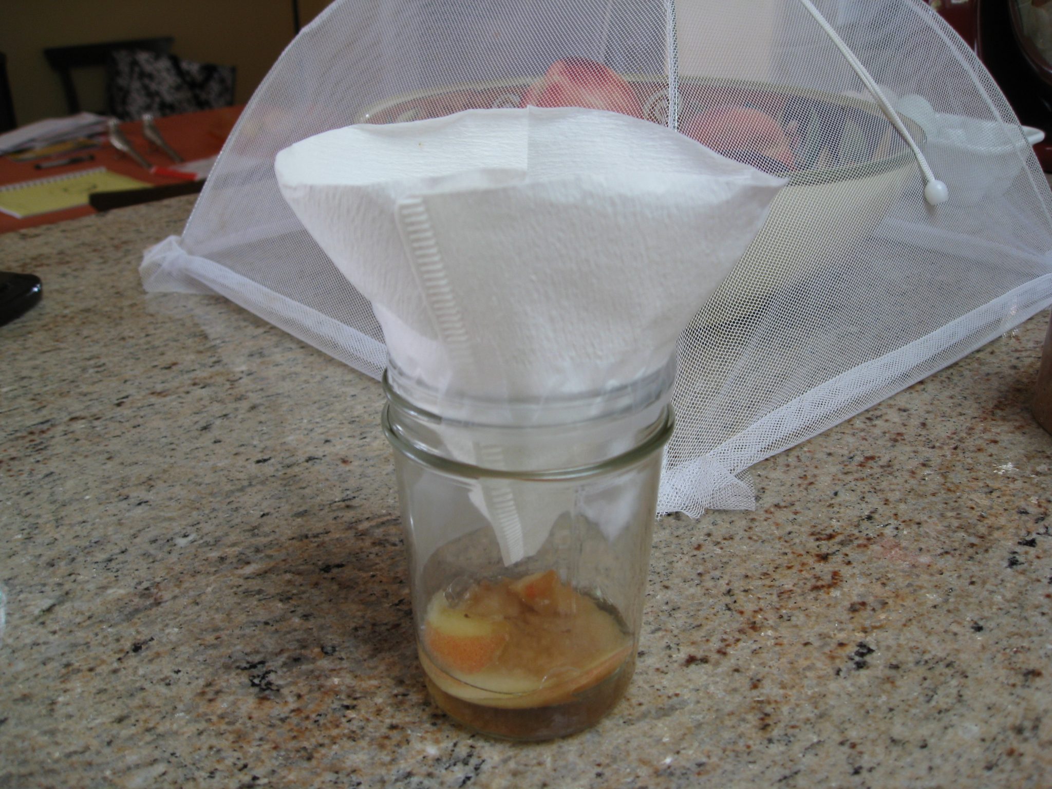 Homemade Fruit Fly Traps Gardenerd