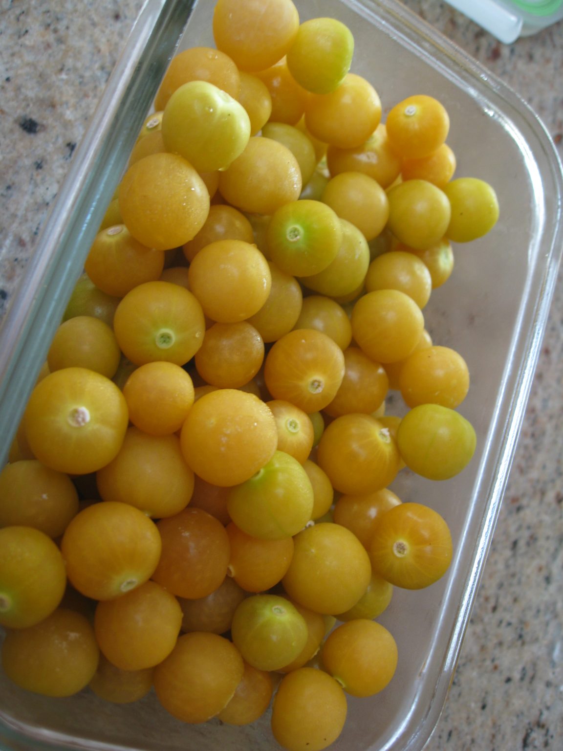 Growing and Harvesting Ground Cherries - Gardenerd