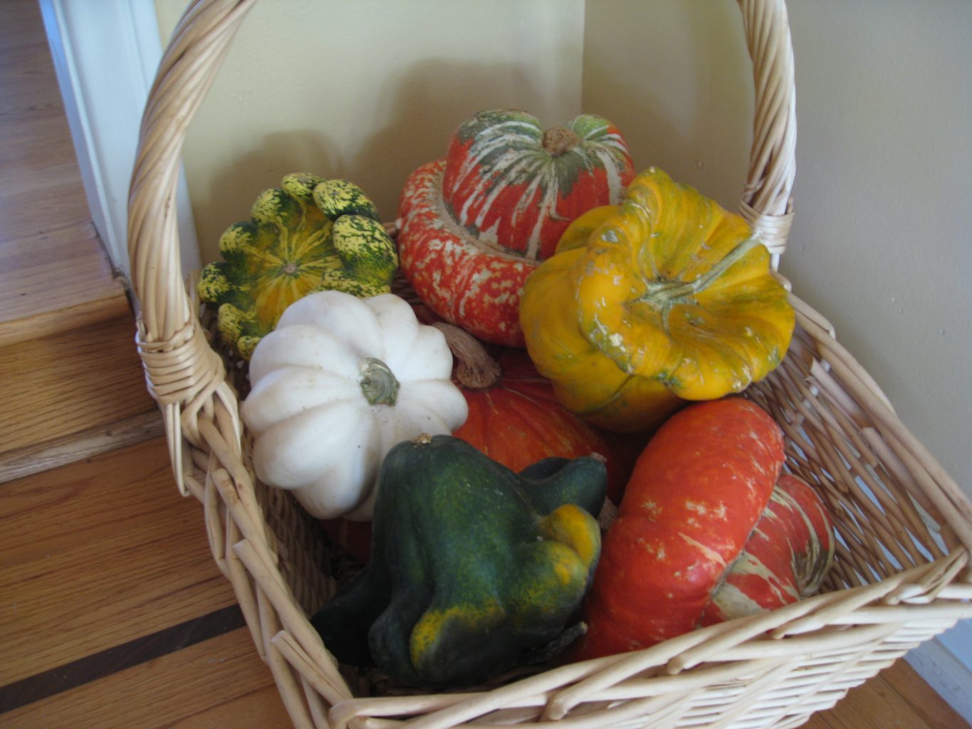 Wordless Wednesday: Harvest 2015 - Gardenerd