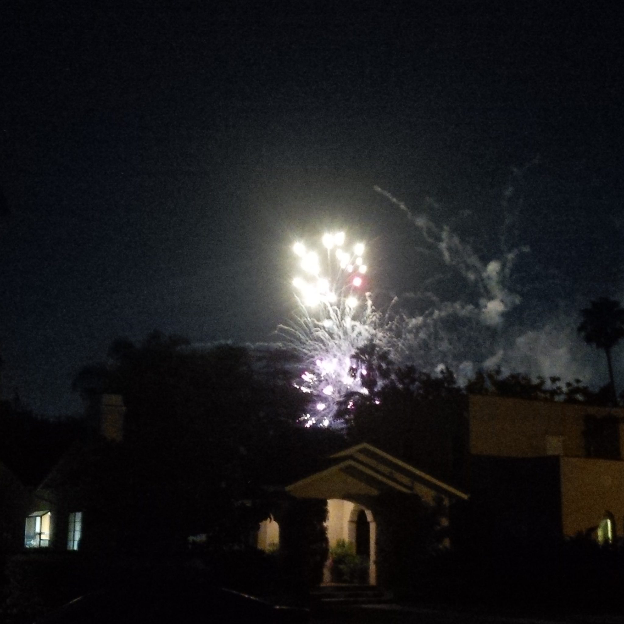 Fireworks - A Toxic Tradition? - Gardenerd