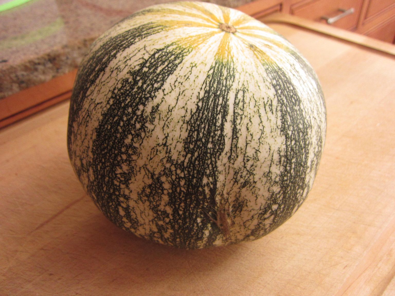 Harvesting Silver Edge Pumpkin Seeds - Gardenerd