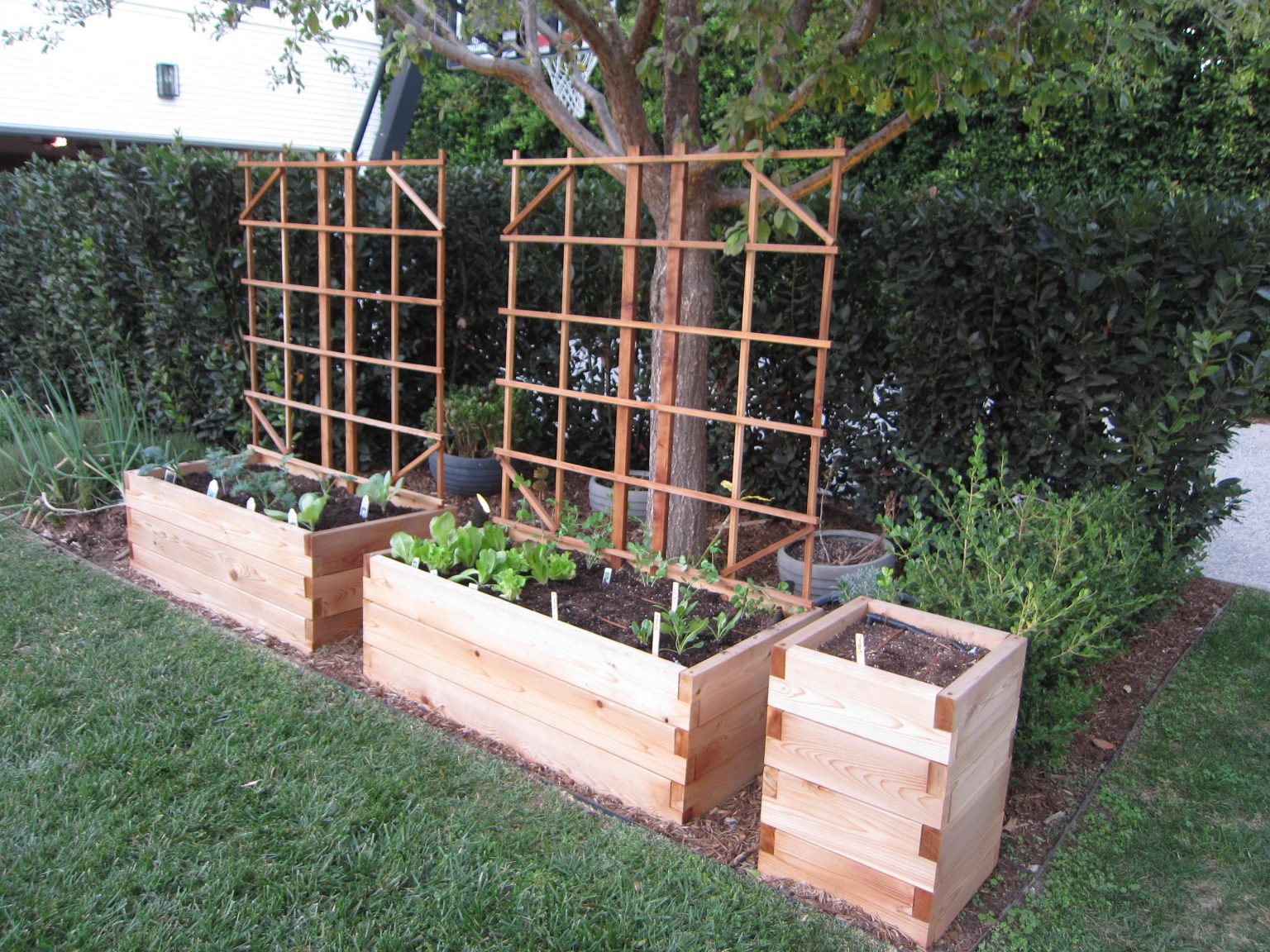 Gardenerd: Organic Edible Gardening | Gallery & Testimonials