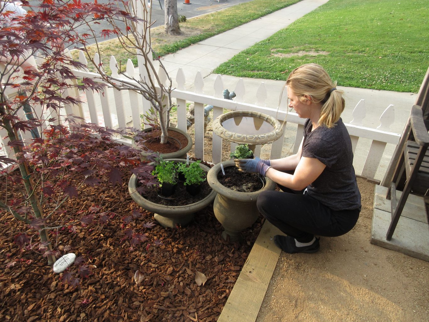 Design: Tiny Front Yard Farm - Gardenerd