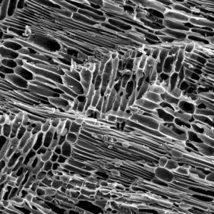 Podcast: BioChar with Michael Wittman - Gardenerd