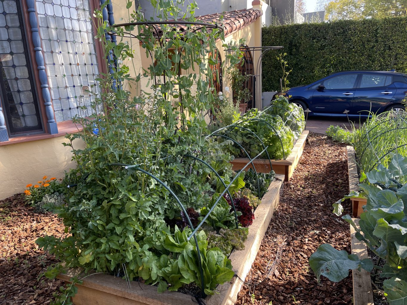 Design: Front Yard Mini Farm - Gardenerd