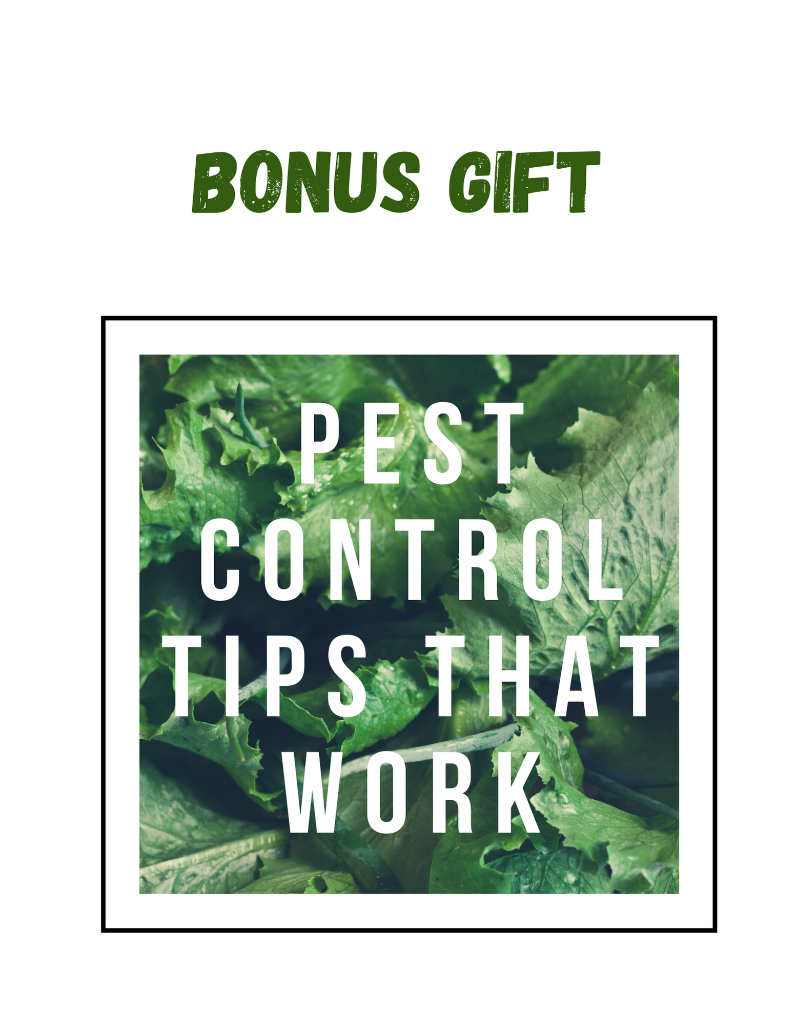 Free Webinar Returns - Winning the Pest Control Game - Gardenerd