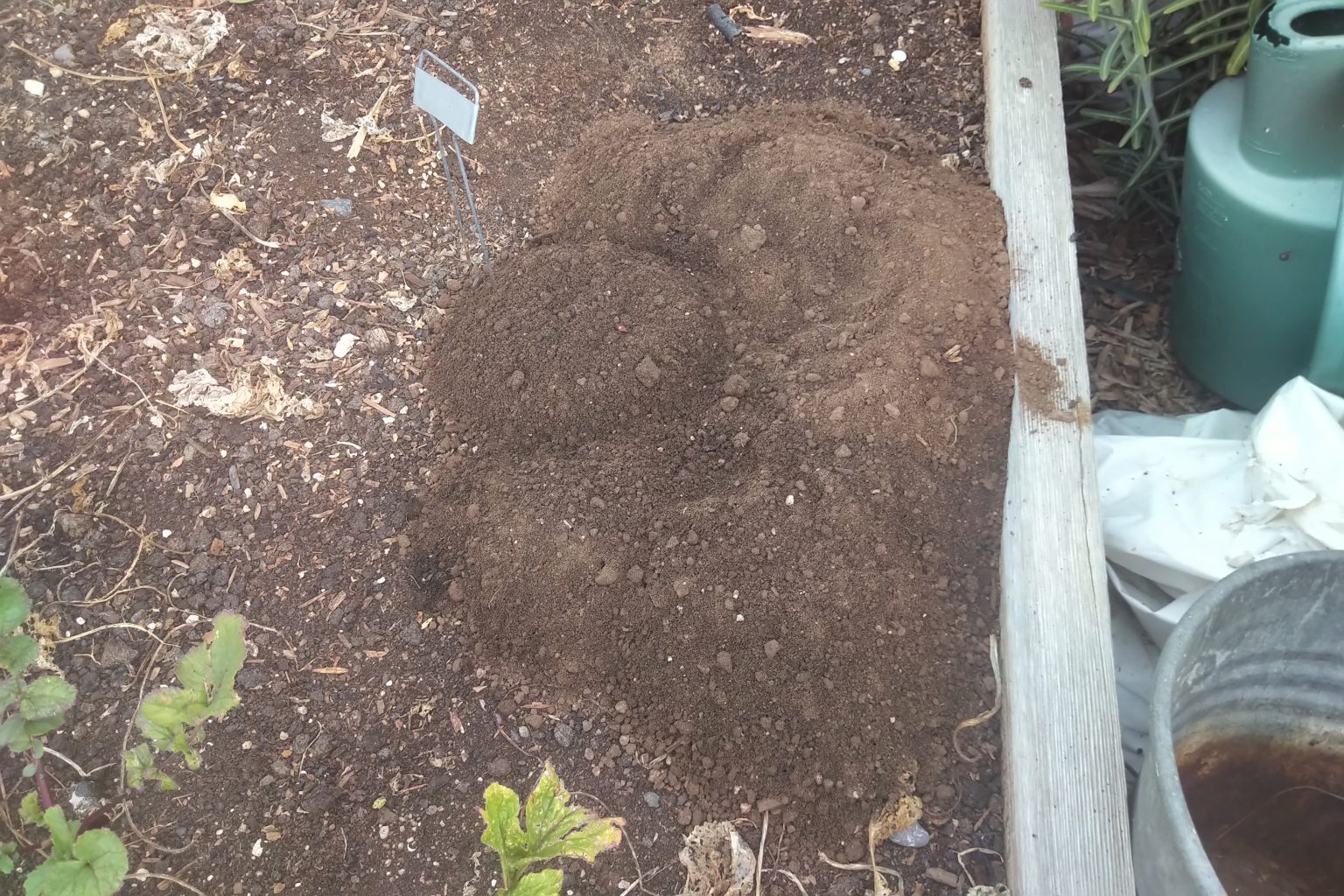 YouTube: How to Install a Gopher Barrier - Gardenerd