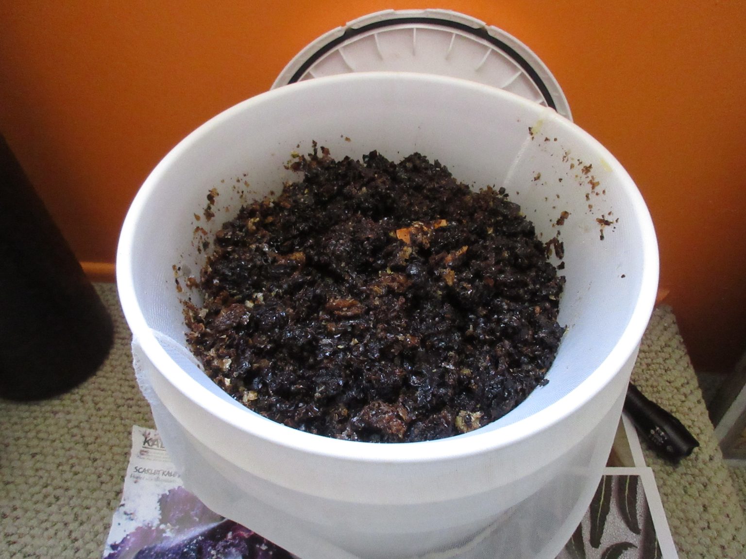 Wordless Wednesday: Fall Check In - Gardenerd