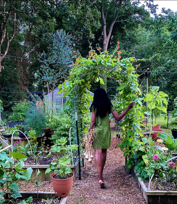 Podcast: Gardening Inspiration with Ashlie Thomas - Gardenerd