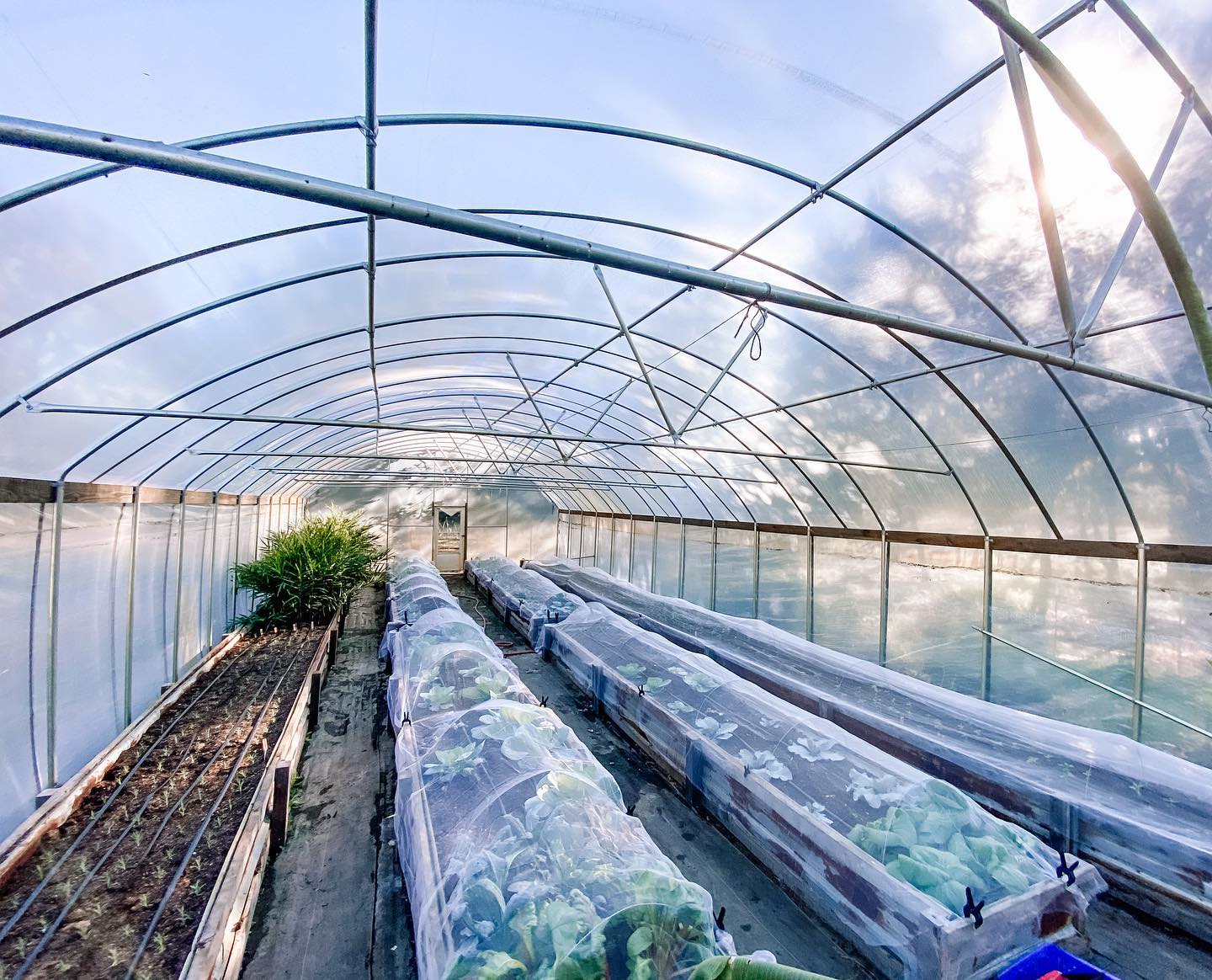 Podcast: Jill Ragan - Gardenerd