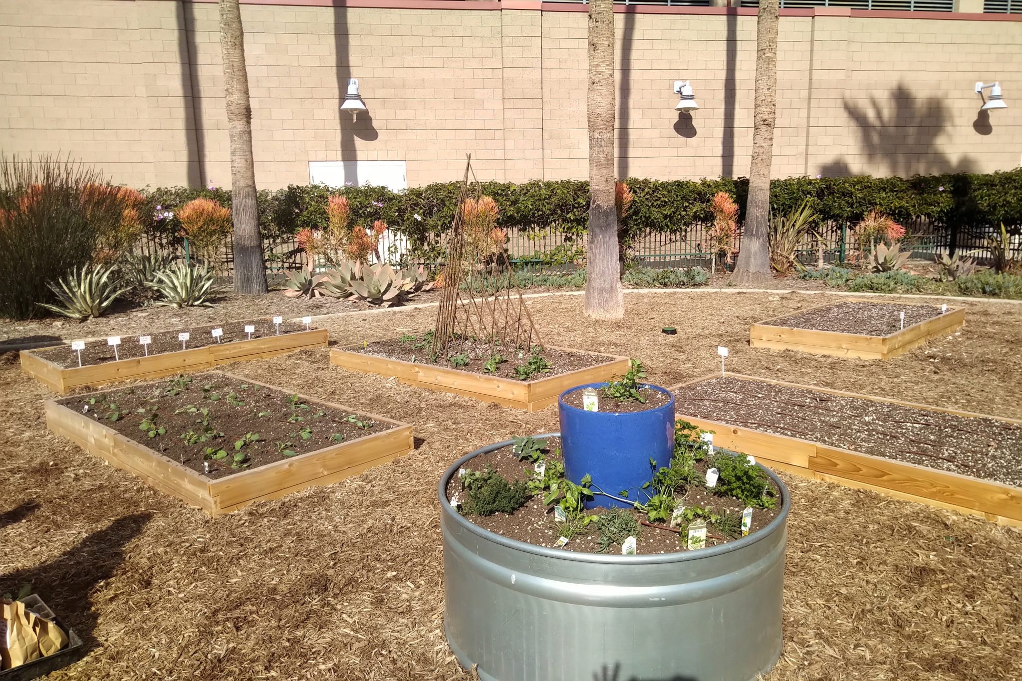 Design: Culinary Teaching Garden for UCI - Gardenerd