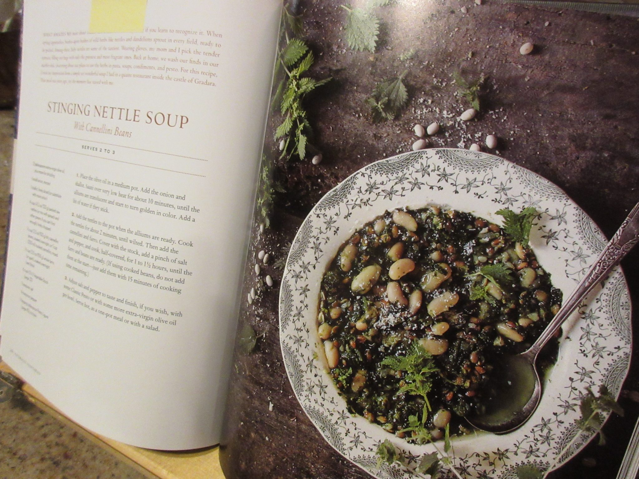 Recipe: Stinging Nettles Galore! - Gardenerd