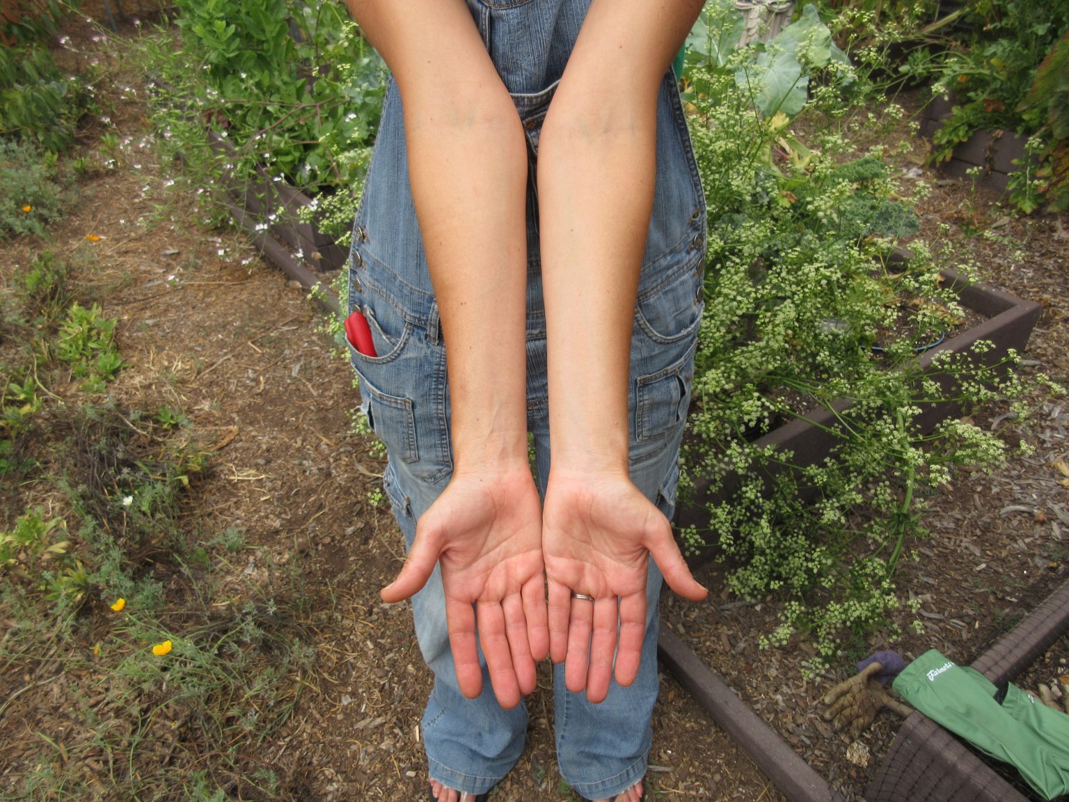 Review: Farmers Defense Sleeves - Gardenerd