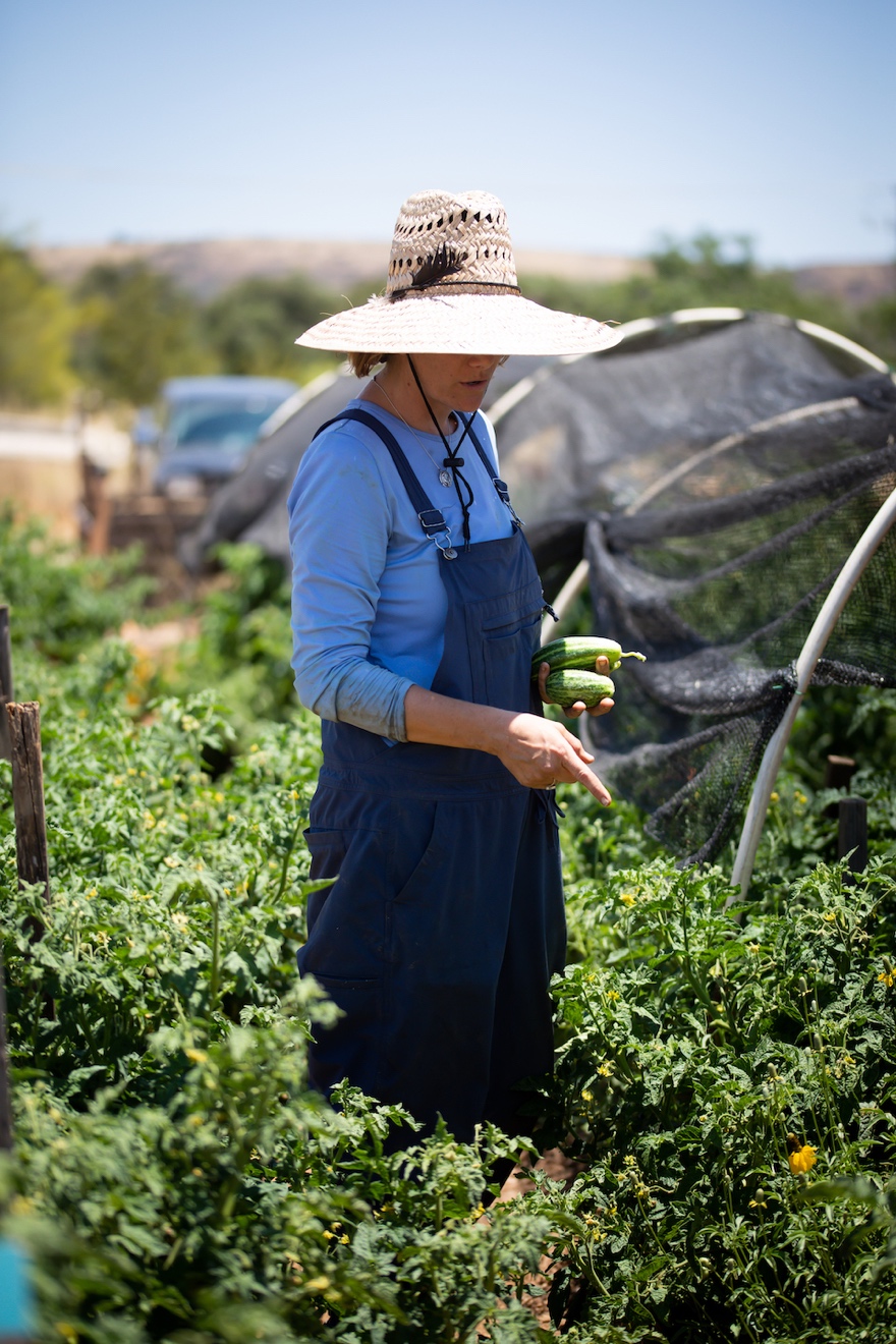 Podcast: Locally Adapted Seeds with Brijette Peña - Gardenerd