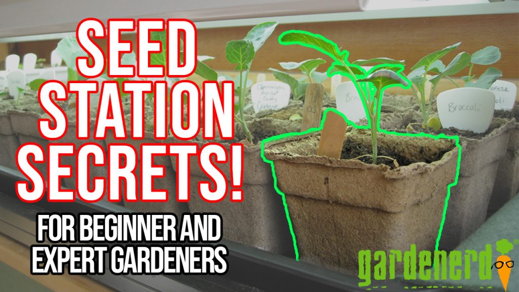 YouTube: Tips for Your Ideal Seed-Starting Set Up - Gardenerd