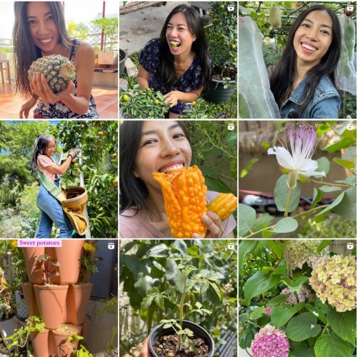 Podcast: Growing in Tiny Spaces with Wendi Phan - Gardenerd