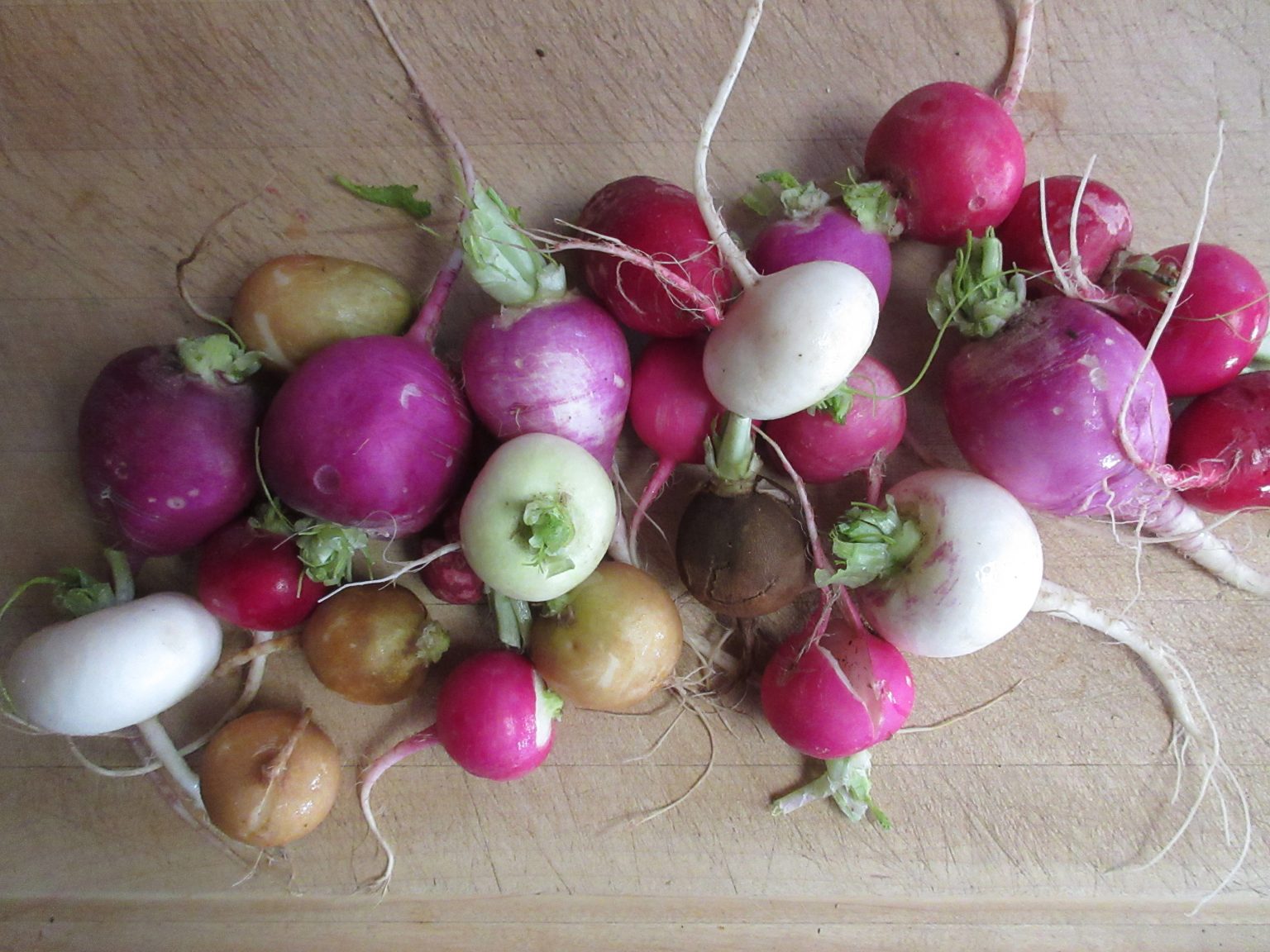 5 Crops to Grow with Kids - Gardenerd