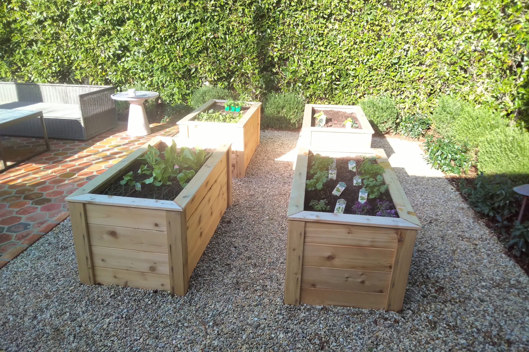 Design: Orderly Small-Space Urban Garden - Gardenerd